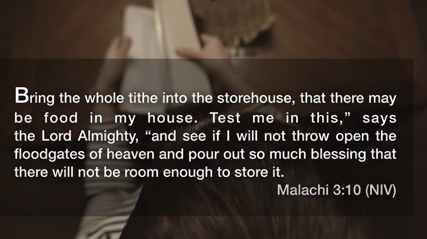 About – J. Pacetti & His World Collection